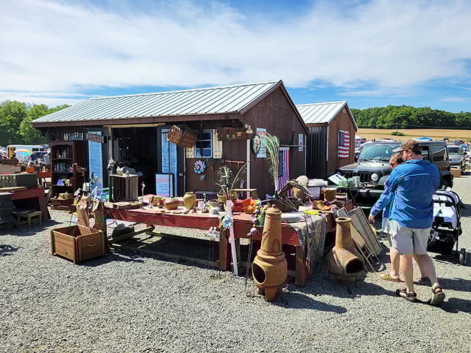 Pot-ential galore! From succulents to sunflowers, these terracotta treasures are ready to house your green dreams.