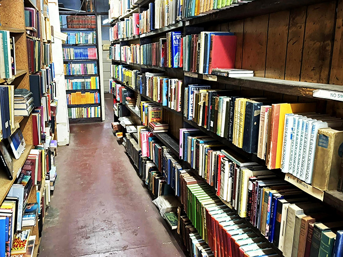 A feast for the eyes and the mind! These vibrant spines are like a literary box of crayons, just begging to color your imagination.