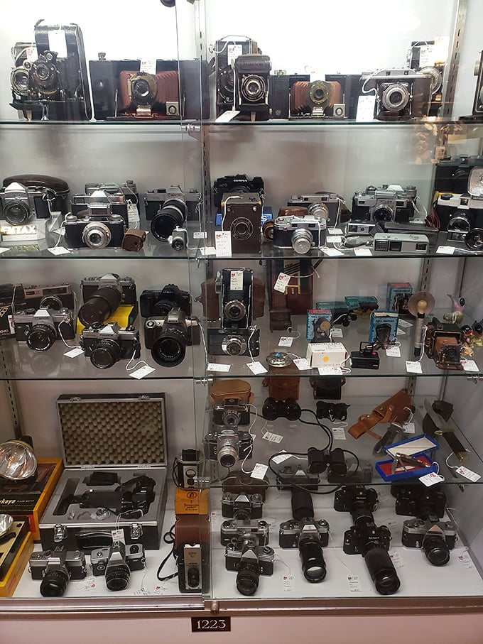 Say cheese to this collection of vintage cameras! From box Brownies to fancy SLRs, it's a snapshot of photographic history.