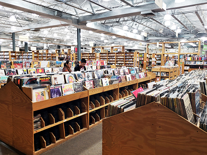 Vinyl lovers, prepare to swoon. This record section is a time machine, ready to transport you back to the golden age of album art and analog sound.