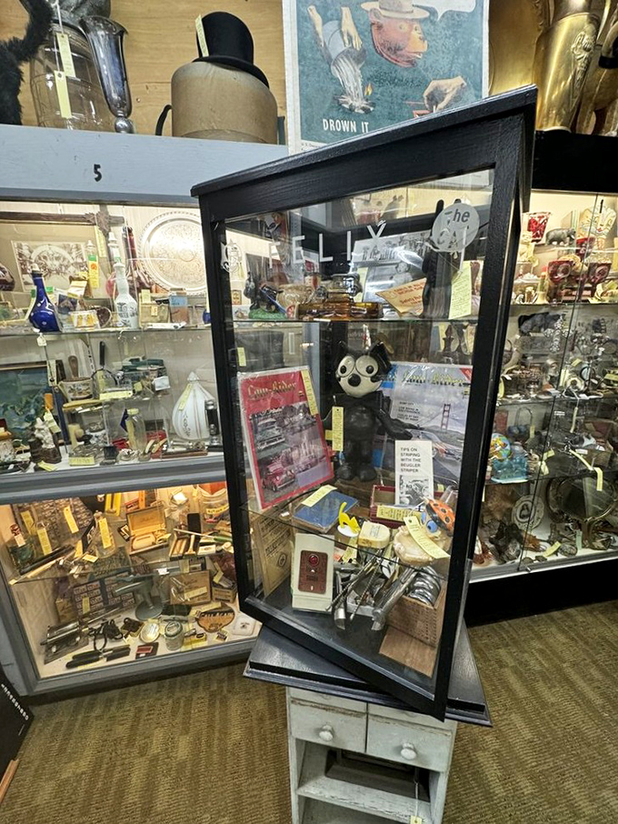 Treasure chest alert! This display case is like your eccentric uncle's junk drawer, but way cooler and probably worth more.