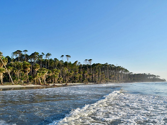 Mother Nature's sandbox meets Neptune's playground. This beach is more refreshing than a glass of sweet tea on a hot day.