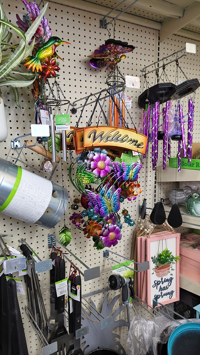 Garden decor with personality to spare. This hummingbird welcome sign brings Technicolor charm to Wyoming patios without the designer price tag.