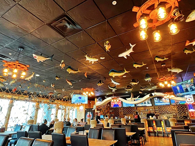 Dive in and get messy &ndash; that's the Pier 17 way! When your bib becomes a badge of honor, you know you're doing it right.