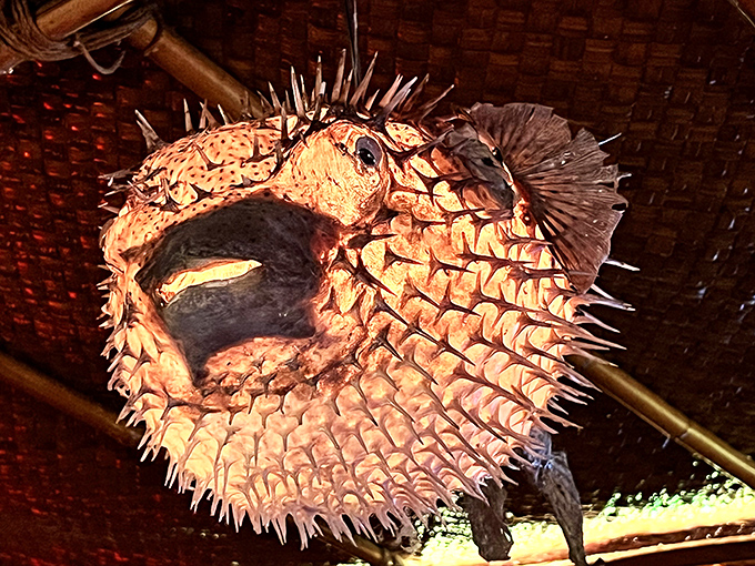 Talk about a conversation starter! This puffer fish lamp is the stuff of "Finding Nemo" nightmares, but in the best possible way.