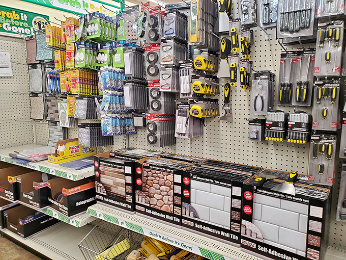 DIY paradise! Whether you're a weekend warrior or a crafty queen, these tools will help you nail your next project without hammering your wallet.