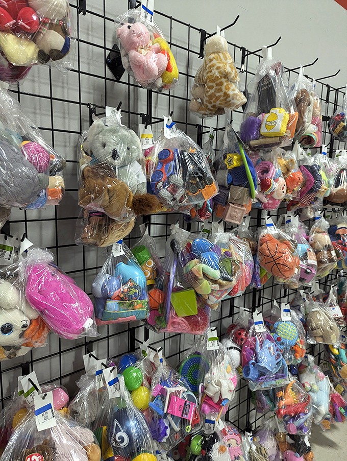 A menagerie of plush pals and plastic playthings. It's like Toy Story, but with price tags and the occasional missing eye.