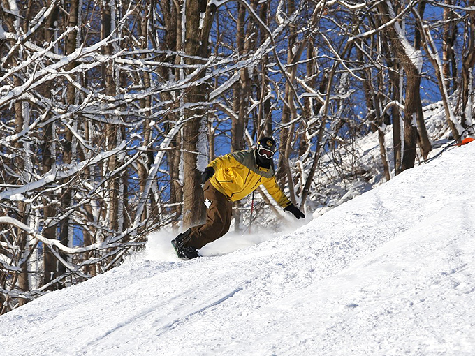 Who says history is dry? This snowboarder is shredding through centuries, proving Gettysburg isn't just a summer destination.