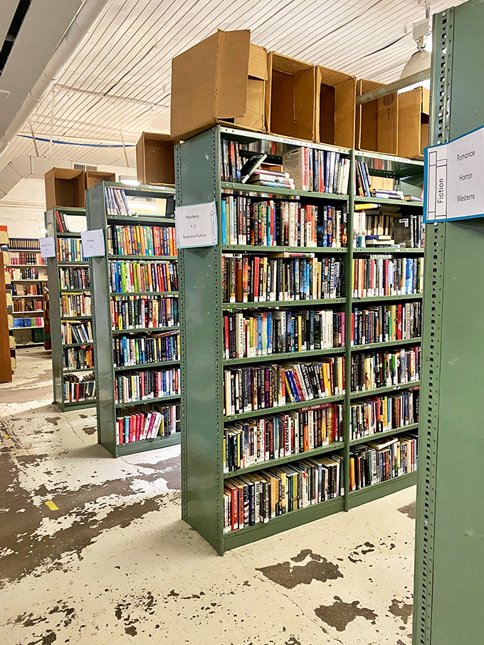 Meticulously arranged shelves: a bookworm's dream and a librarian's masterpiece. It's more organized than my kitchen ever will be!