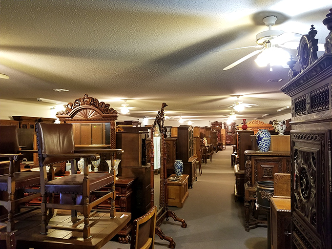 Aisles of adventure stretch as far as the eye can see. Better bring a compass &ndash; or at least leave a trail of breadcrumbs.