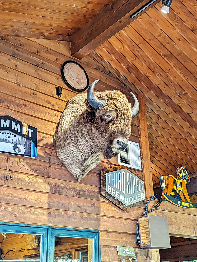 This guy's the real head of the house. He's seen things, you know. Mostly delicious things being devoured.