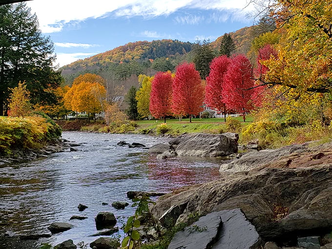 Autumn's grand finale: Nature's fireworks display that puts July 4th to shame. No earplugs required for this spectacular show.