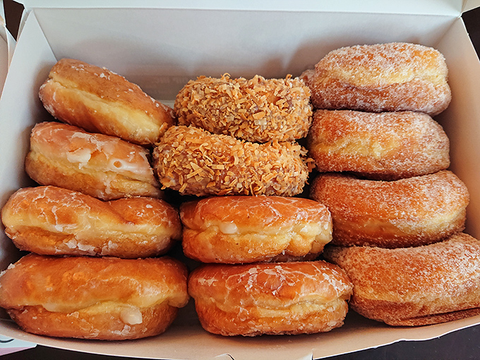 A box of joy! This dozen assorted donuts is like a treasure chest of fried gold &ndash; each one a delicious adventure waiting to be discovered.