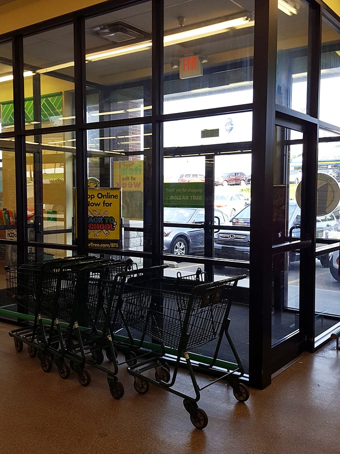 Chariots of savings await! These carts stand ready to embark on epic quests through the aisles of affordability.