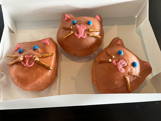 Who said cats and dogs can't get along? These feline-inspired treats are the cat's meow, guaranteed to make any dog lover purr with delight.