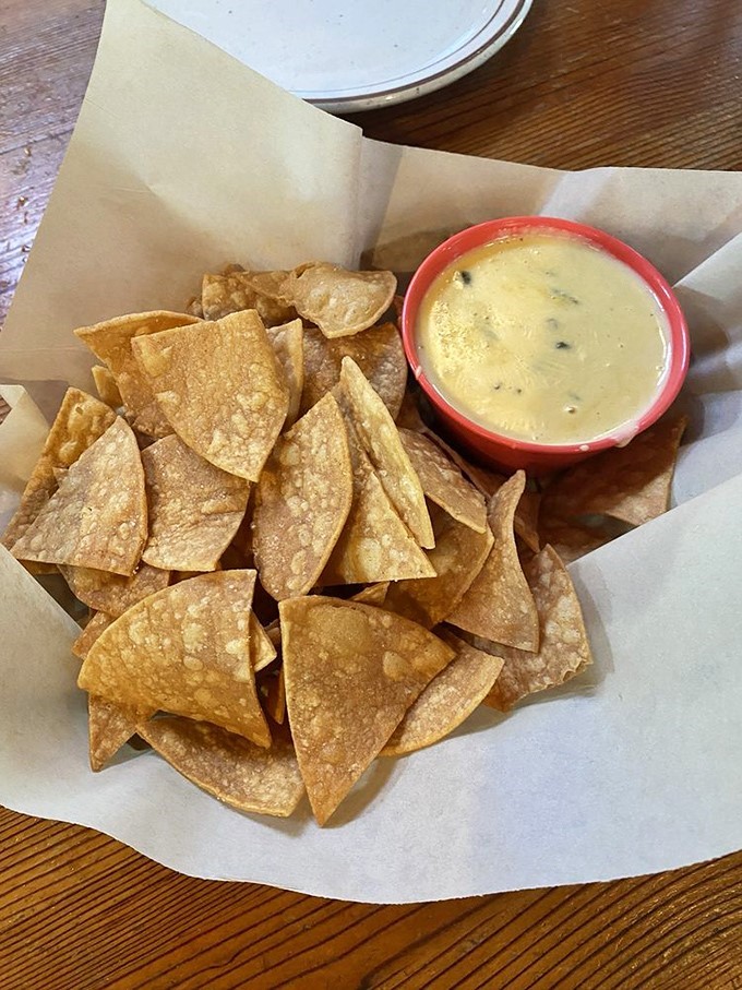 Chips and queso: the dynamic duo of appetizers. This golden, gooey goodness is like a warm, cheesy hug for your mouth.