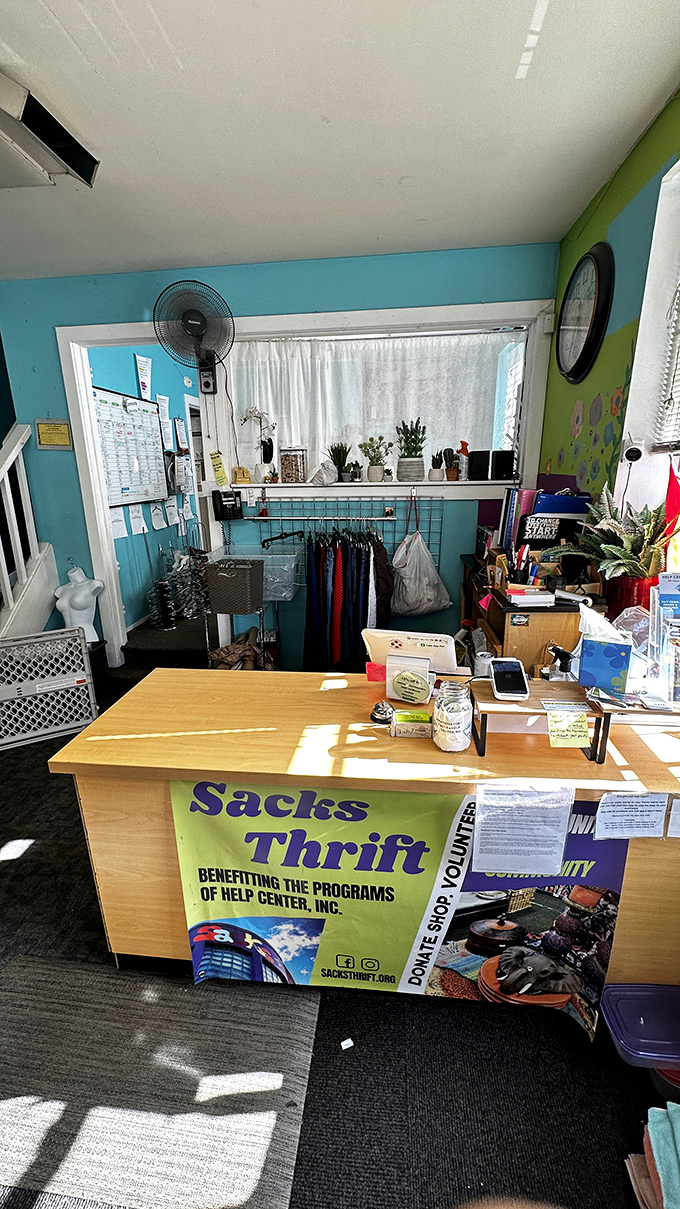 Command central of curiosities. This desk has seen more treasures pass by than Indiana Jones on a good day.