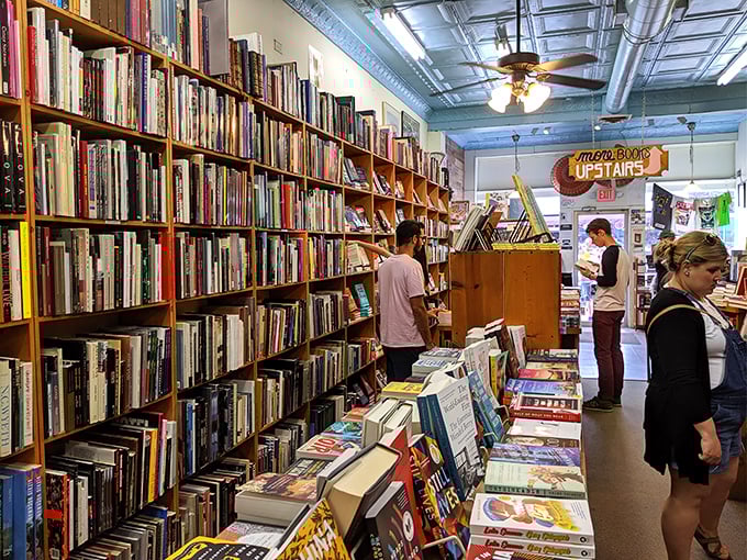 Browsers in their natural habitat. Watch as they navigate the literary jungle with expert precision.