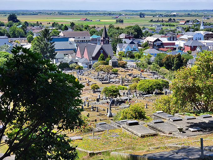 Ferndale's hilltop haven of history. Where the town's founding families rest with a view that would make any realtor jealous.