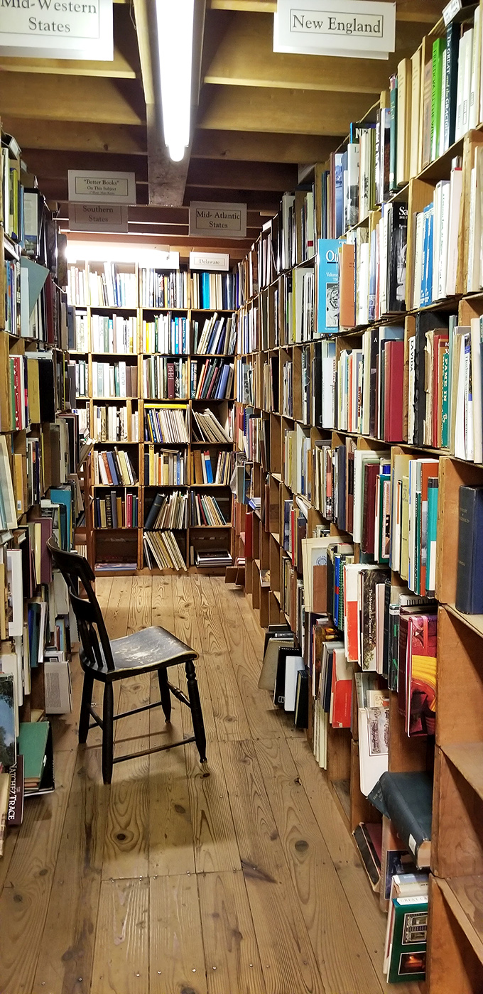 Geography buffs, prepare for a world tour! From sea to shining sea, these shelves are your passport to armchair adventure.