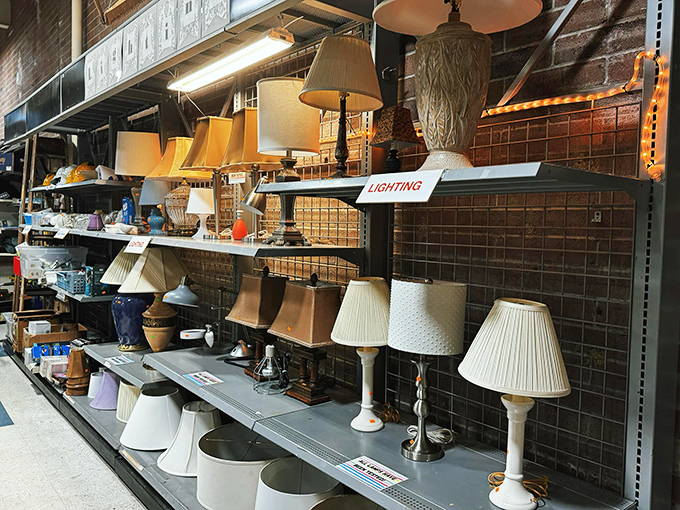 Let there be light... and lots of it! This lamp lineup is ready to brighten your world, one secondhand shade at a time.