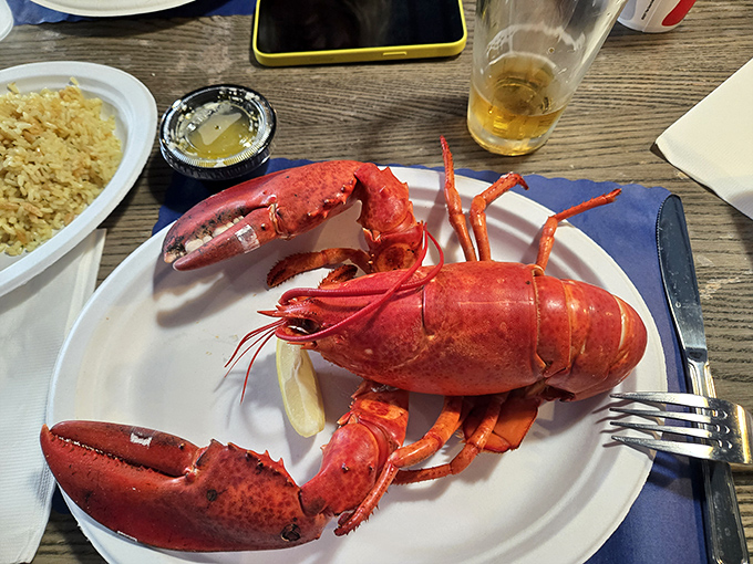 Lobster luxury! This crimson crustacean is ready for its close-up, and your taste buds are in for a star-studded performance.