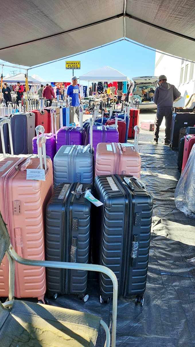 Luggage lineup that puts airport carousels to shame. Pick your travel companion: Pink for optimists, black for realists, purple for royal wannabes.