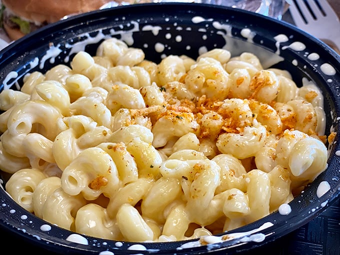 Mac and cheese that puts Grandma's recipe to shame! This creamy concoction is so good, it might just start a family feud.
