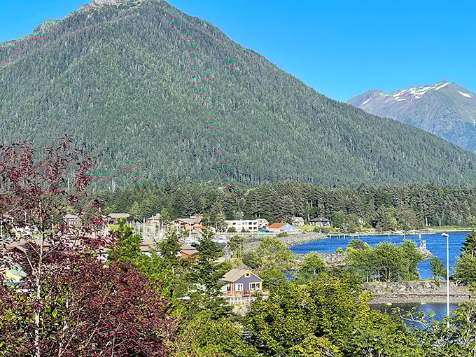 Sitka from above: Where cozy homes meet the wild frontier. It's like a Bob Ross painting come to life, happy little trees included.