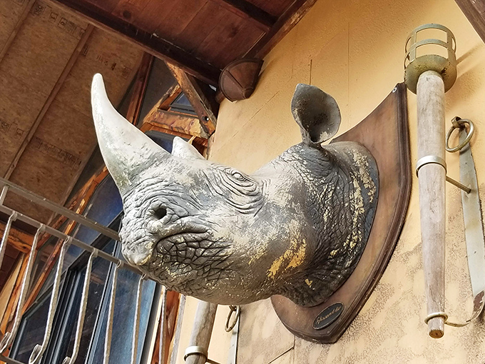 Who invited the rhino? This unexpected wall mount adds a touch of whimsy to the medieval decor. Sir Rhinoceros, at your service!