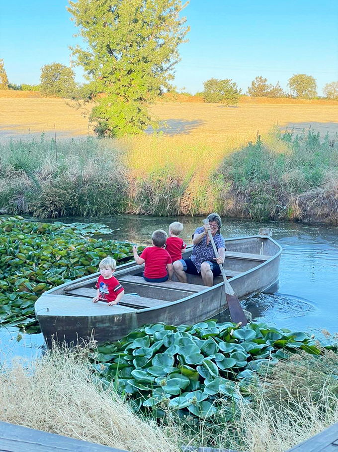 Row, row, row your boat, gently down the moat. This family outing gives new meaning to 'testing the waters' at Castle Noz.