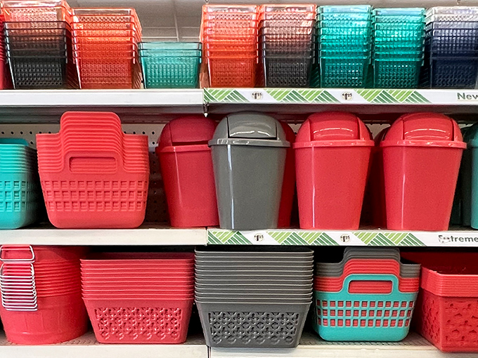 Storage solution heaven&mdash;where organizational dreams come in rainbow hues, transforming chaotic junk drawers into Instagram-worthy containment systems.