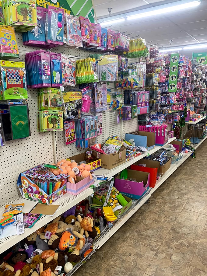 Toy story come to life! This aisle is where imagination meets affordability. Who needs expensive gadgets when you've got endless possibilities for a buck?