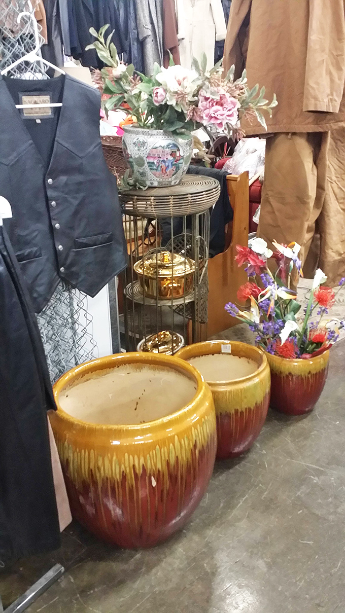 Flower power meets vintage chic! These blooming beauties and retro pots are ready to brighten any room's mood.