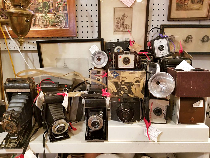 Say cheese... and then wait three weeks for it to develop! These vintage cameras have captured countless memories, and now they're ready for their close-up.