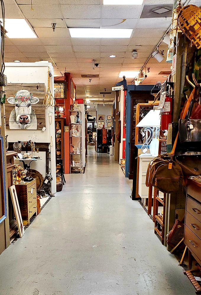 Down the rabbit hole we go! This aisle promises adventures in Wonderland, minus the shrinking potions and talking cats.