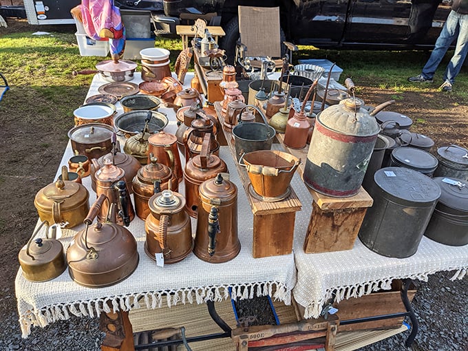 Copper bottom dreams! These vintage pots and kettles are ready to add a touch of old-world charm to your culinary adventures.