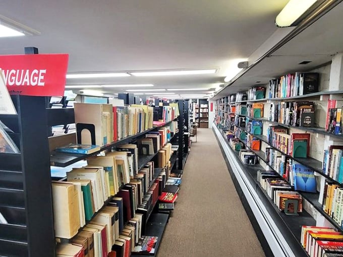 A canyon of creativity! This aisle is like the Grand Canyon of books, with literary sediment layered as far as the eye can see.