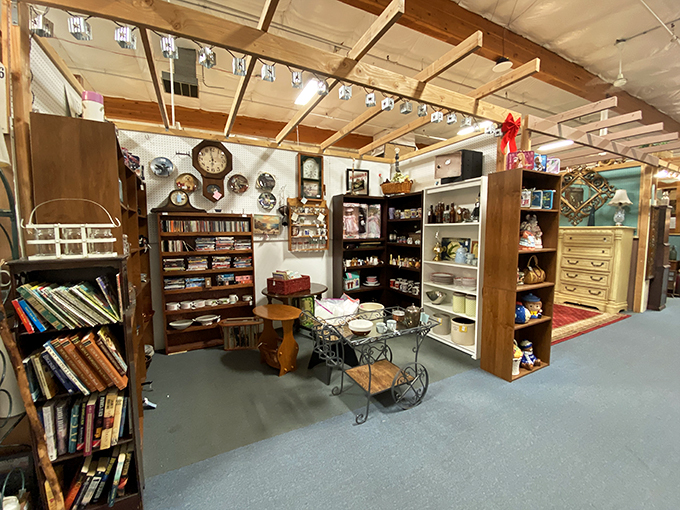 A bibliophile's dream come true! These shelves are stocked with enough vintage wisdom and forgotten tales to rival the Library of Alexandria.