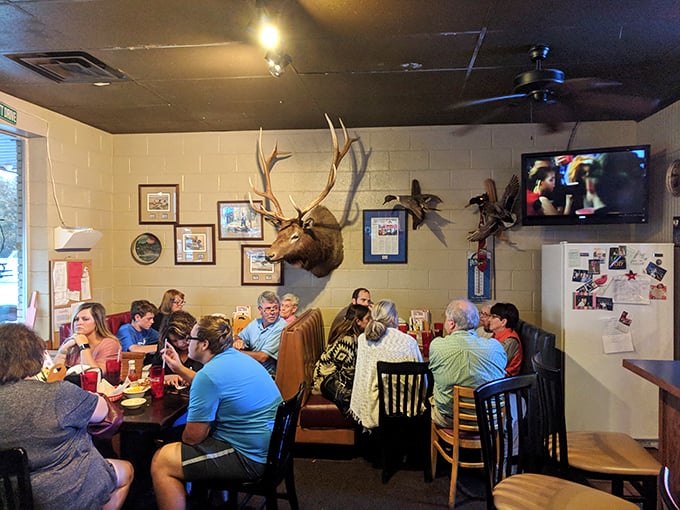 A snapshot of happiness: where friends gather, laughter echoes, and that mounted elk silently judges your food choices.