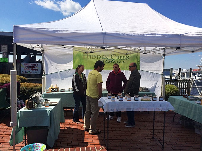 From farm to table, with a dash of local flavor. St. Marys' farmers market is a feast for the senses, offering the freshest tastes of coastal Georgia.