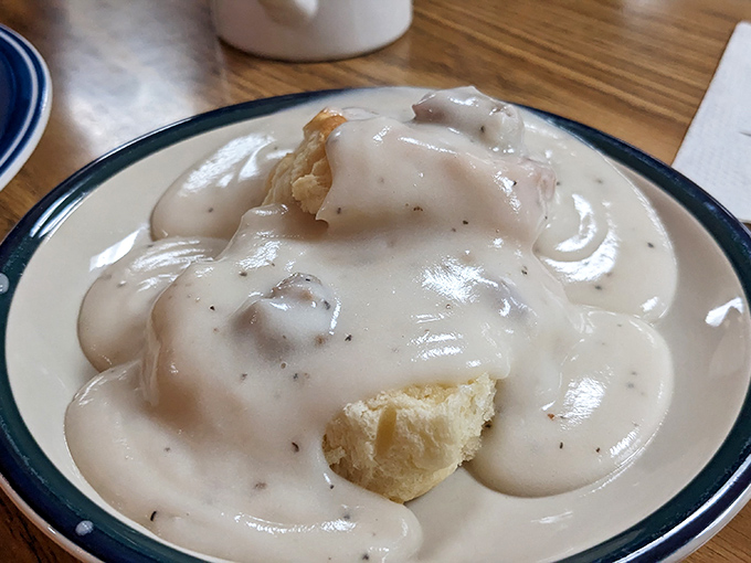 Gravy so thick, you could patch a tire with it. This isn't just a condiment; it's a lifestyle choice. Cardiologists, look away now.