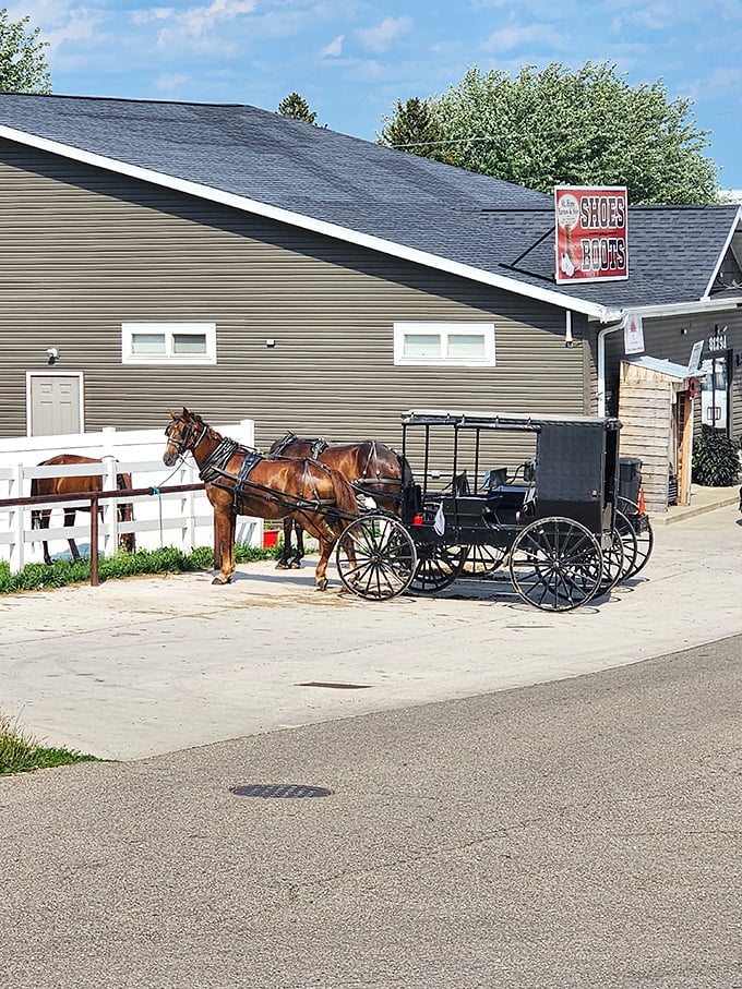 Giddy up and chow down! This horse and buggy isn't just transportation, it's a time-honored tradition with a side of scenic views.