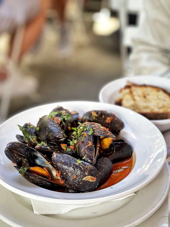 Mussels with attitude: These inky beauties aren't just another pretty shell &ndash; they're packed with flavor that'll make your taste buds do a happy dance.
