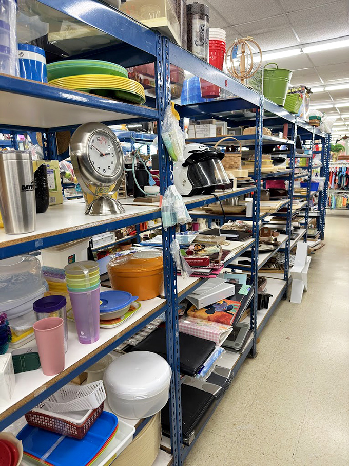 Kitchen gadgets and household items in organized chaos. That perfect measuring cup you lost last year? Its replacement is here.