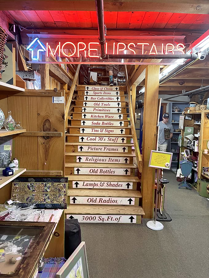 These quirky labeled stairs are like a treasure map, leading adventurous collectors to specialized collections above.