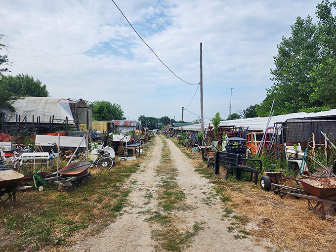 The road less traveled leads to treasure! This dusty lane, flanked by an eclectic mix of wares, promises adventure for the intrepid shopper.