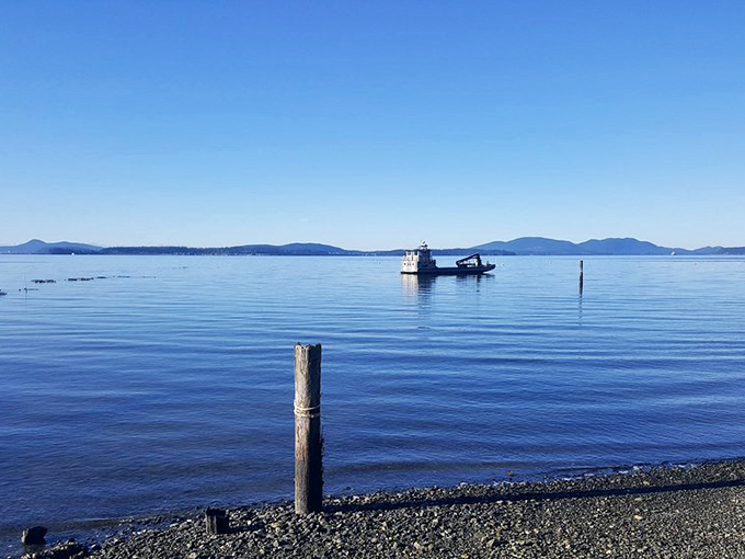 Serenity now! With a view like this, even your food will taste more relaxed. It's not just a meal; it's a maritime meditation.