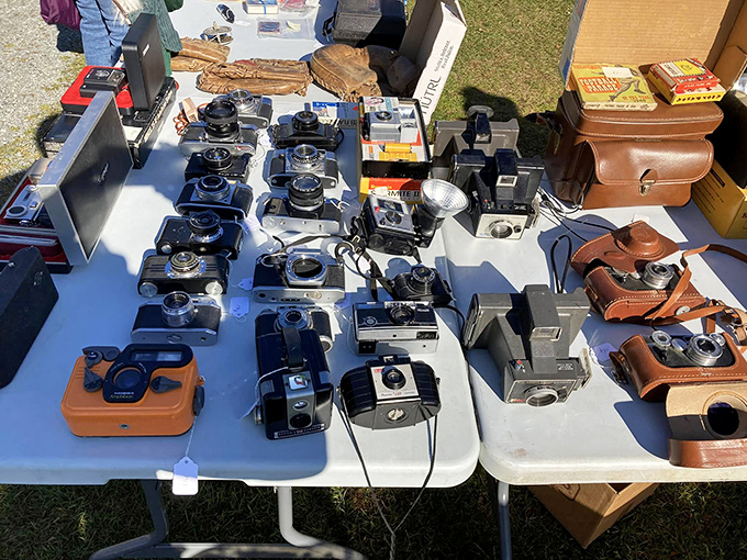 A photographer's dream&mdash;vintage cameras that captured weddings, birthdays, and everyday miracles long before "selfie" entered our vocabulary.