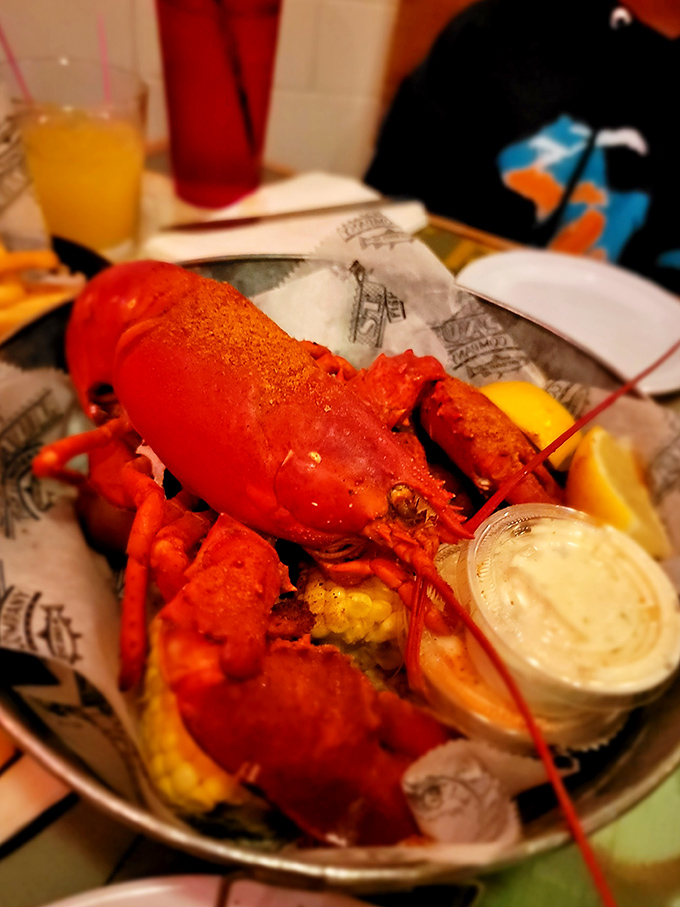 Meet your dinner date! This whole lobster is dressed to impress and ready to butter you up.